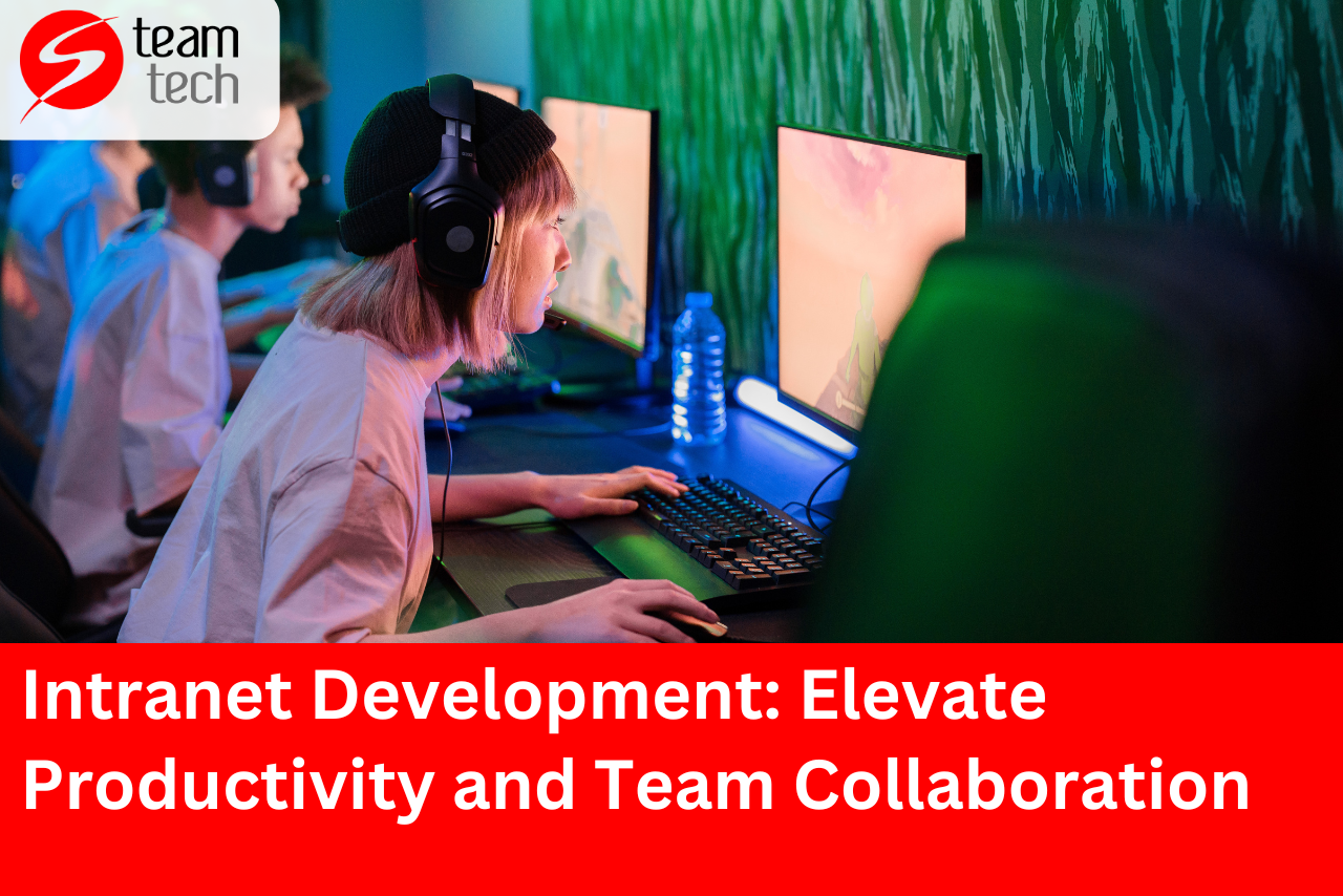 Learn With Us About Intranet Development | Team Tech Solution